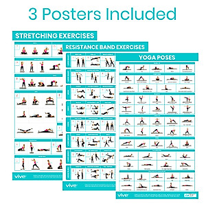 Vive Yoga Poses + Stretching Exercises + Resistance Band Workouts Poster for Home Gym (3 Pack) - 149 Illustrations for Flexibility, Strength, Core, Exercising, Pilates Mat - Work Chart Set, Laminated 30" x 17"