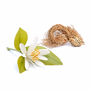 Derek Lam 10 Crosby Rain Day Spring 20 by Derek Lam for Women - 3 Pc Gift Set 3.4oz EDP Spray, 10ml EDP Spray, 8oz Fragrance Mist (I0094202)