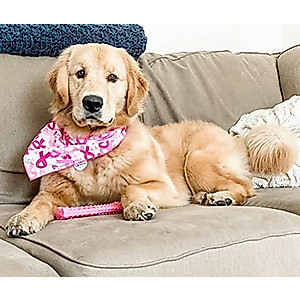 Nylabone Power Chew Textured Pink Breast Cancer Awareness Chew Toy - Tough and Durable Dog Bone for Aggressive Chewers - Chicken Flavor, X-Large/Souper (1 Count)
