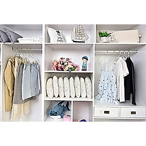 Quality Clear Acrylic Skirt Pant Hangers with Clips – 4 Pack, Stylish Clothes Hanger with Gold Hooks - Coat Hanger for Dress, Suit - Closet Organizer Adult Hangers - Cloth Hangers (Gold Hook, 4)