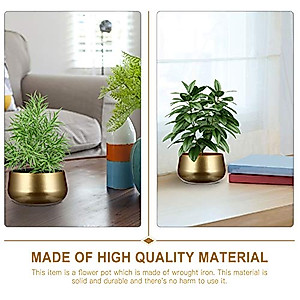 Happyyami All Golden Tool Modern Living Pot Decorative Room Simple Desktop Plan Patio Home Iron Decor Bonsai Wedding Garden Gardening Hole Cactus House Table Flower Metal Flowers Plant