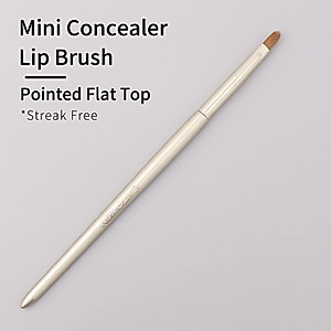 ENZO KEN Thin Lip Brush, Mini Flat Concealer Brush Under Eye, Small Lip Makeup Brush for Lip Stick, Liquid Lipstick, Liquid Blush, Lipgloss, Lip Plumper, Lip Plumping Lip Gloss, Spots, Mature Skin.