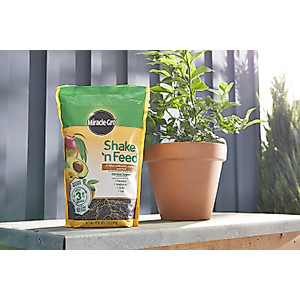 Miracle-Gro Shake 'n Feed Citrus, Avocado and Mango Plant Food 8 lbs.