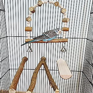 Luonfels Cockatiel Toys Wooden Perch 4 Pack, Bird Cage Natural Platform Hammock Swing Perches for Parakeets Budgie Conures Medium Parrots Hamster