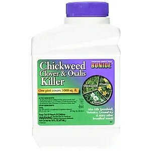 Chickweed/Clover Klr Pt