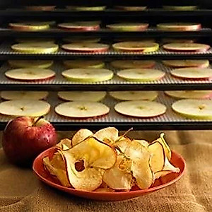 Superior 9 Pack Super Non-stick, Dupont Teflon Re-usable Food Dehydrator Sheets for Excalibur 2500, 2900, 3500, 3900 or 3926t. Sheet Measures 14” X 14” Fits Excalibur 5 and 9 Trays.