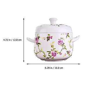 Hemoton Cereal Containers Ceramic Stew Pot with Lid Spoon Food Serving Bowl Kitchen Steaming Bowl Home Stockpot Steam Soup Bowl Steaming Cup for Home Kitchen Cereal Container