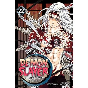 Demon Slayer: Kimetsu no Yaiba, Vol. 22 (22)