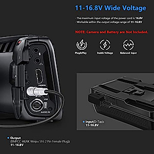 Neewer D-Tap to BMPCC 4K/6K Coiled Power Cable Compatible with Blackmagic Pocket Cinema Camera 4K/6K Gold Mount V Mount Battery Weipu 2 Pin Female to P Tap, 16 inches - 50 inches Length