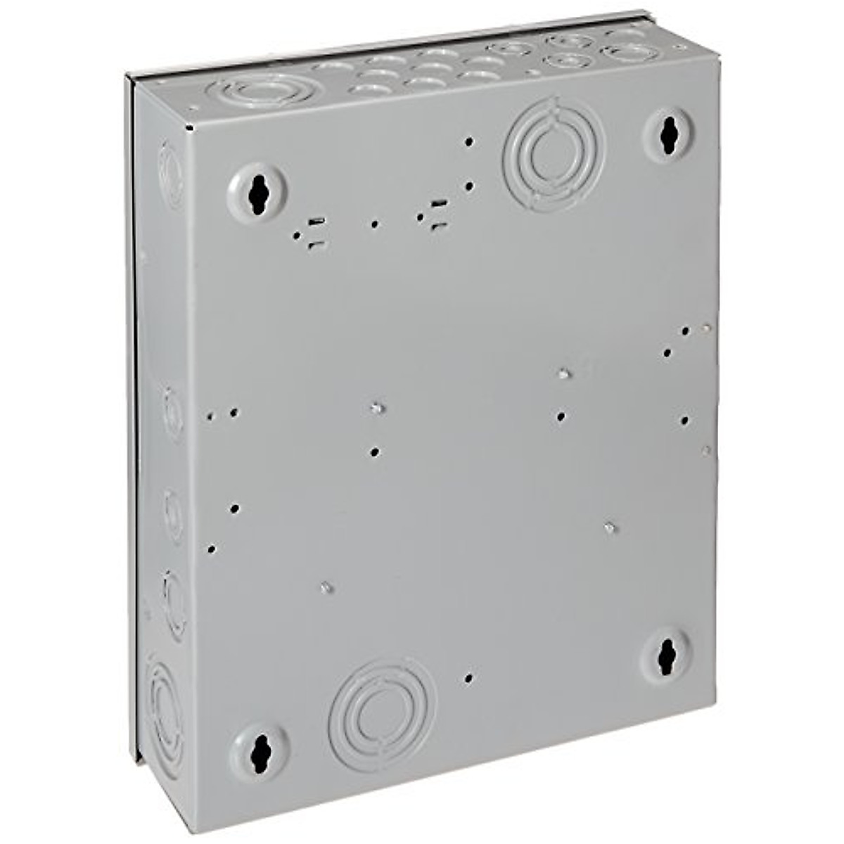 Reliance Controls TRB1005C Panel/Link Transfer Panel with Meters (50A/100A)