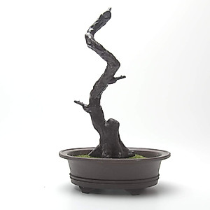 CHENGAI Artificial Plants Bonsai Potted Plants, Mini Simulation Pine Tree Potted Plant for Home Decoration Desktop Display Garden Decor