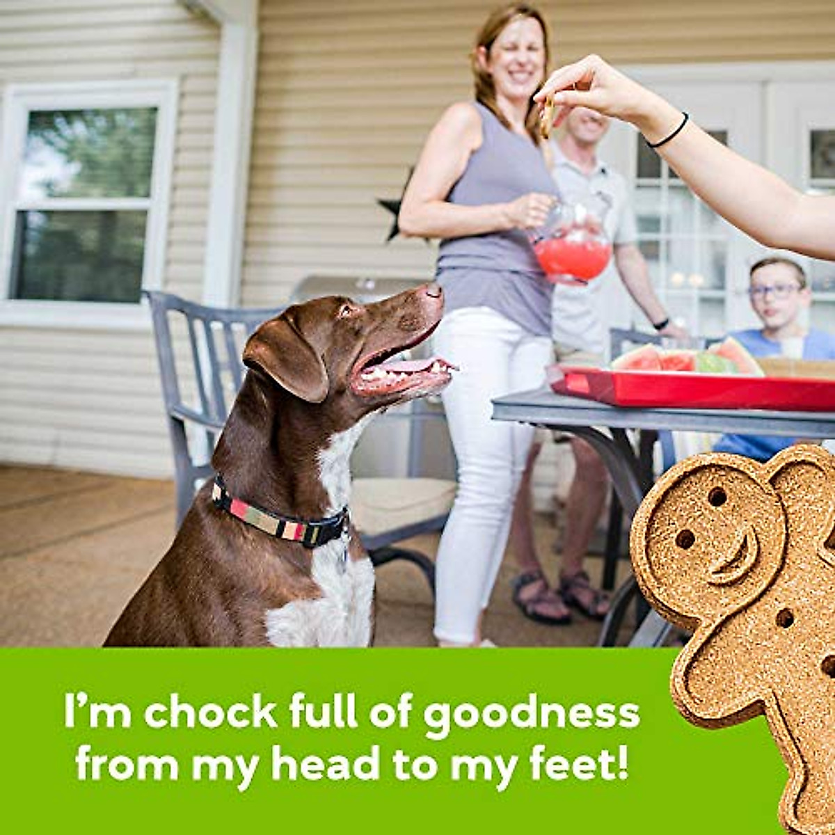 Buddy Biscuits Oven-Baked, Healthy Whole-Grain, Crunchy Treats for Dogs