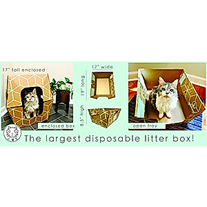 Cats Desire Disposable Litter Boxes 10 Trays-8.5 inches Tall Each Tray
