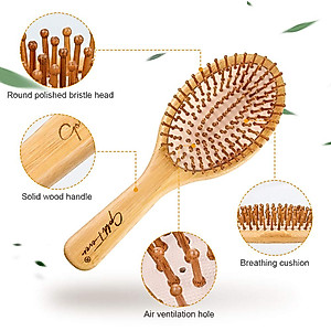 BestFire 6 in 1 Hair Brush Comb for Men Women Handle Bamboo Bristle Hairbrush Set with Tail Comb, Tooth Comb, Double Head Comb, 3 Different Air Cushion Massage Brush for Massaging Scalp