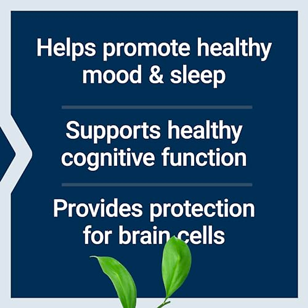 Life Extension D, L-Phenylalanine Capsules, 500 mg – Supports Mood Health, Promotes Neurotransmitter Health – Gluten-Free, Non-GMO, Vegetarian – 100 Capsules