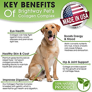 K9 Collagen PEPTIDE Complex W/BIOTIN - Hip & Joint Supplement for Dogs- Supports Healthy Joints, Skin & Coat – Helps in Recovery & Repair– 3+ Months Supply - Over 114 Servings!