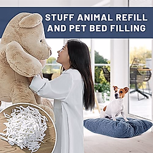 anzhixiu Bean Bag Chair Filler Shredded Memory Foam 100% New,Pillow Stuffing for Couch Pillows, Stuffed Animals, Dog Bed & Couch Cushion Filling, 5 Pounds
