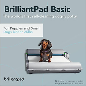 BrilliantPad Self-Cleaning, Automatic Indoor Dog Potty for Puppies and Small Dogs | Original Roll w/Plastic Rod & Caps Incl (Original 2.0 Machine w/Drip Lip, Gray)