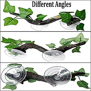 PINVNBY Reptile Corner Branch Resin Climb Tree Branch Decor with Leaves Terrarium Plant Decoration with Suction Cup Gecko Plant Ornament for Amphibian Lizard Snake Climbing 