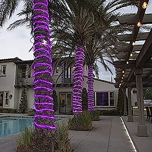 SUNSEATON Solar Rope Lights,50 LEDs 16ft/5M Waterproof Solar String Copper Wire Light,Outdoor Rope Lights for Garden Yard Path Fence Tree Wedding Party Decorative (Purple)
