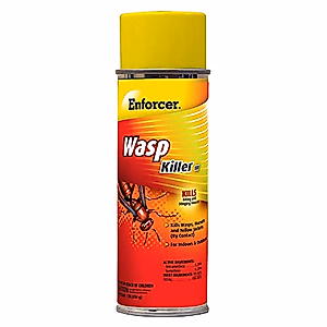 Enforcer Wasp and Jacket Foam - 7 Ounces (Case of 12) A07234-20 Foot Spray - Yellow Jacket, Wasp and Hornet Killer