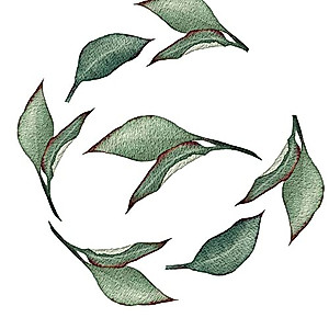 Wonder Space Jumbo Peony Watercolor Wall Decals - Large Size Peonies Flowers Leaves Room Wall Stickers - Scandinavian Design Floral (Pink & White)