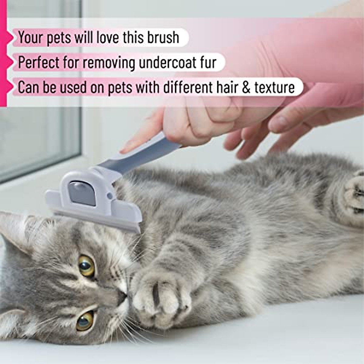 Mr. Pen- Pet Grooming Brush, Dog Brush for Shedding, Dog Shedding Brush, Dog Deshedding Brush, Deshedding Tool, Dog Deshedding Tool, Dog Undercoat Brush for Dogs, Dog Hair Brush Shedding