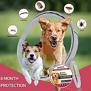 Flea and Tick Collar for Dogs, Flea and Tick Prevention for Dog, 27 Inch, 16 Month Protection, 2 Pack