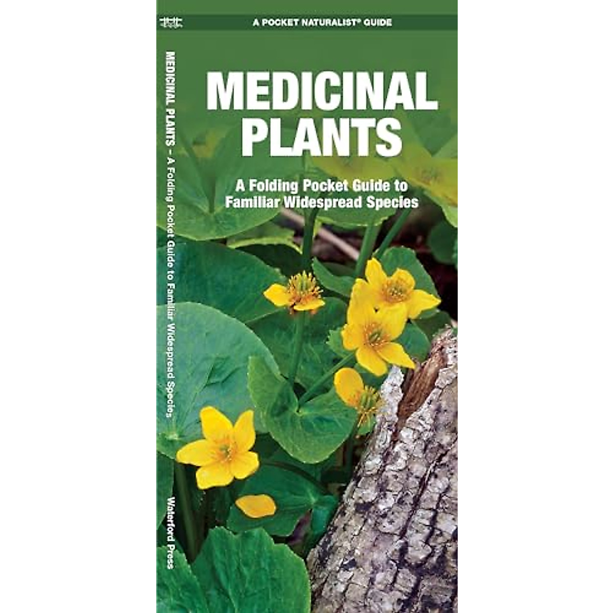 Medicinal Plants: A Folding Pocket Guide to Familiar Widespread Species (Nature Observation North America)