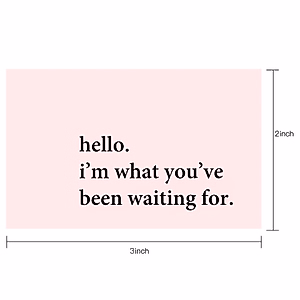 WRAPAHOLIC Hello I'm What You've Been Waiting for Stickers - Pink Business Thank You Stickers, Shipping Stickers - 2 x 3.2 Inch 350 Total Labels