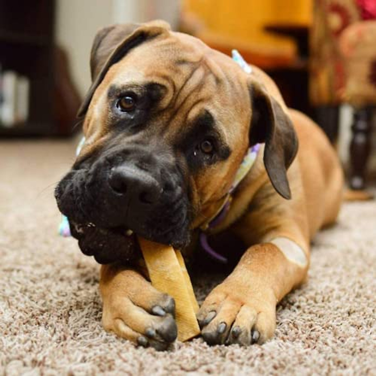 Chewmeter Himalayan Yaky Cheese Chew, 100% Natural, Long Lasting, Gluten Free, Healthy Dog Treats, Lactose & Grain Free, Stain Free, X-Large, For Dogs 55 Lbs & Over, 3 lb Bulk Tub, Packaging May Vary