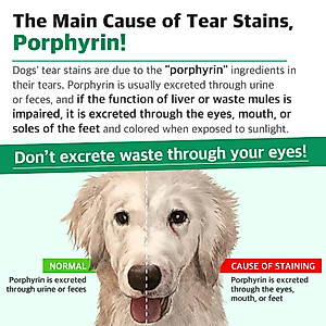 DoctorBy Eyes Care Plus Dog Tear Stain Supplement Eye Drops for Dogs Eye Health Support with Milk Thistle Lutein Beta Carotene - 100 Soft Chews
