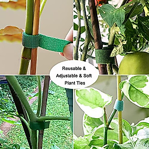 Yowlieu 20 Pcs Natural Bamboo Stakes + 1 Roll Garden Ties, 18 Inches Bamboo Sticks Gardening Plant Support Stakes for Indoor Plants, Tomato, Potted Plants