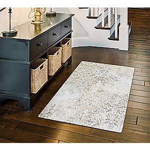 Brumlow MILLS Cordelia Antique Distressed Print Washable Indoor/Outdoor Area Rug for Living or Dining Room, Bedroom Carpet Rug and Kitchen Rugs, 30" x 46", Neutral