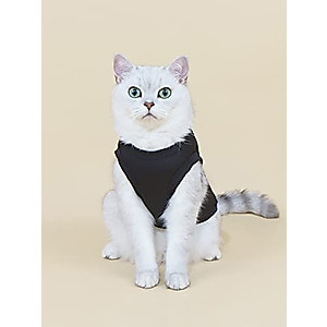 QWINEE 3pcs Dog Shirt Tank Top Puppy Vest Dog Cat Basic Shirts Clothes for Small Medium Dogs Kitten Kitty Multicolor M