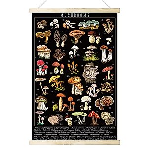 Vintage Black Mushroom Poster Fungus Wall Art Prints Colorful Rustic Style of Mushroom Wall Hanging Illustrative Reference Chart Poster for Living Room Office Classroom Bedroom Playroom Dining Room