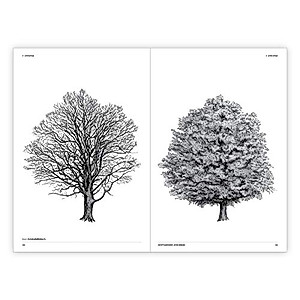 The Architecture of Trees