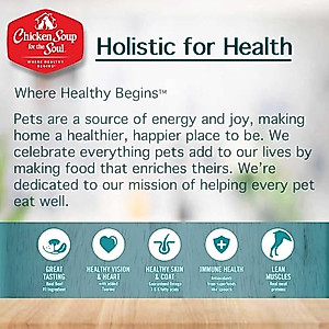 Chicken Soup For The Soul Classic Dry Adult Dog Food, Beef & Brown Rice Recipe, 4.5 Pound Bag | Soy Free, Corn Free, Wheat Free, Dry Dog Food Made with Real Ingredients