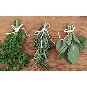 RSVP Cotton Food Safe Butcher’s String, 185-feet, Made in USA