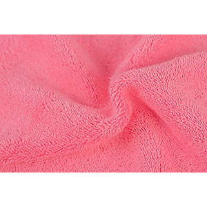 Babiclean Towel Set Absorbent Light Weight and Fast Dry Washcloth Quick Dry Bathroom Hand Towels Durable for Hotel, Spa, Salon and Gym (Hand Towel, Rose Pink)