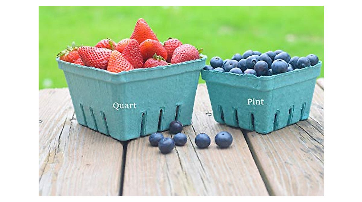 Eco-Friendly 42 Pack Green Molded Pulp Berry Baskets for Produce