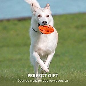 Apasiri Dog Squeaky Toys for Aggressive Chewers Almost Indestructible, Dog Squeaking Interactive Toys Tough Dog Chew Toys Ball for Medium and Large Breed, Natural Rubber Pet Toys Orange