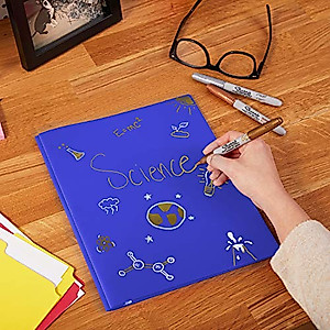 SHARPIE Special Edition 12 Piece Permanent Marker Pack (1909896)