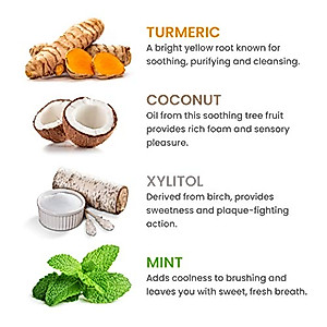 Himalaya Whitening Antiplaque Toothpaste with Turmeric + Coconut Oil for Brighter Teeth, 4 oz