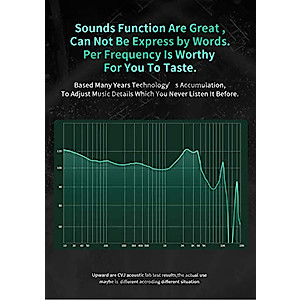 CVJ CSE in-Ear Headphones 1 DD & 1 BA Earphone HiFi Stereo Deep Bass Earbuds with Detachable Cable Noise Isolating Headset with Hybrid Driver for Running, Jogging, Walking (Black Without Mic)