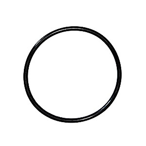 R172009 O-283 O-Ring Replacement for Pentair Model 320/322 Pool and Spa Chlorinator Lid