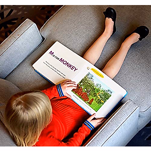 Animals in Art (Sabrina Hahn's Art & Concepts for Kids)