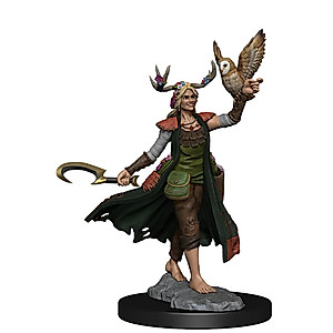D&D Frameworks: Human Druid Female - Unpainted and Unassembled