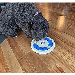 PetRageous 13005 Thinkrageous Interactive Intermediate Level Puzzle Piece Pet Toy Measures 9.84-Inch for Dogs and Cats and Ages, Blue