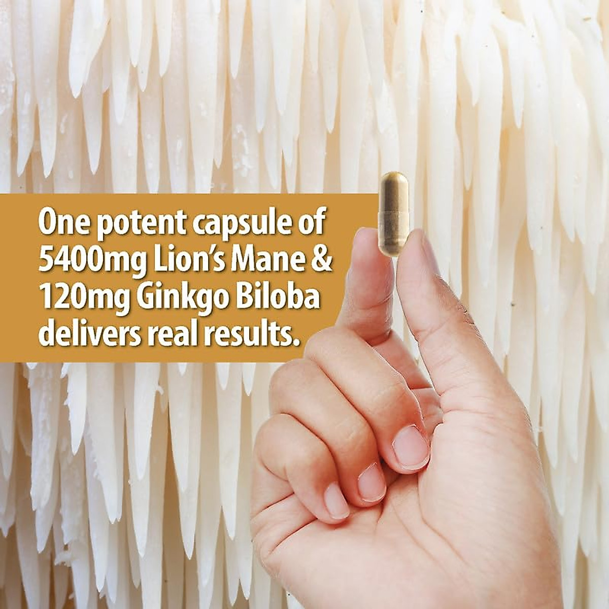 NooMost Organic Lions Mane Supplement Capsules 5400mg, Ginkgo Biloba 120mg – Vegan Lion Mane Mushroom Supplement for Cognitive Function, Mental Clarity, Focus & Memory – 2 Months